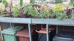 4 reasons why a DIY bin store is a great idea! - Claire Douglas Styling