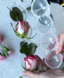 How to make stunning floral ice cubes (balls or spheres) - Claire ...