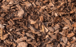 Mulch vs bark: what's the difference & which is best? - Claire Douglas ...