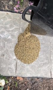 How to lay a resin garden path using Vuba resin-bound gravel DIY kits ...