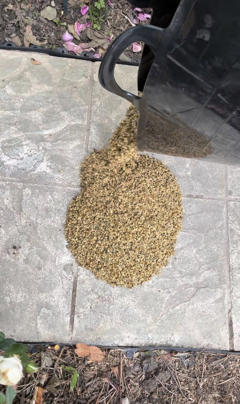 How to lay a resin garden path using Vuba resin-bound gravel DIY kits ...