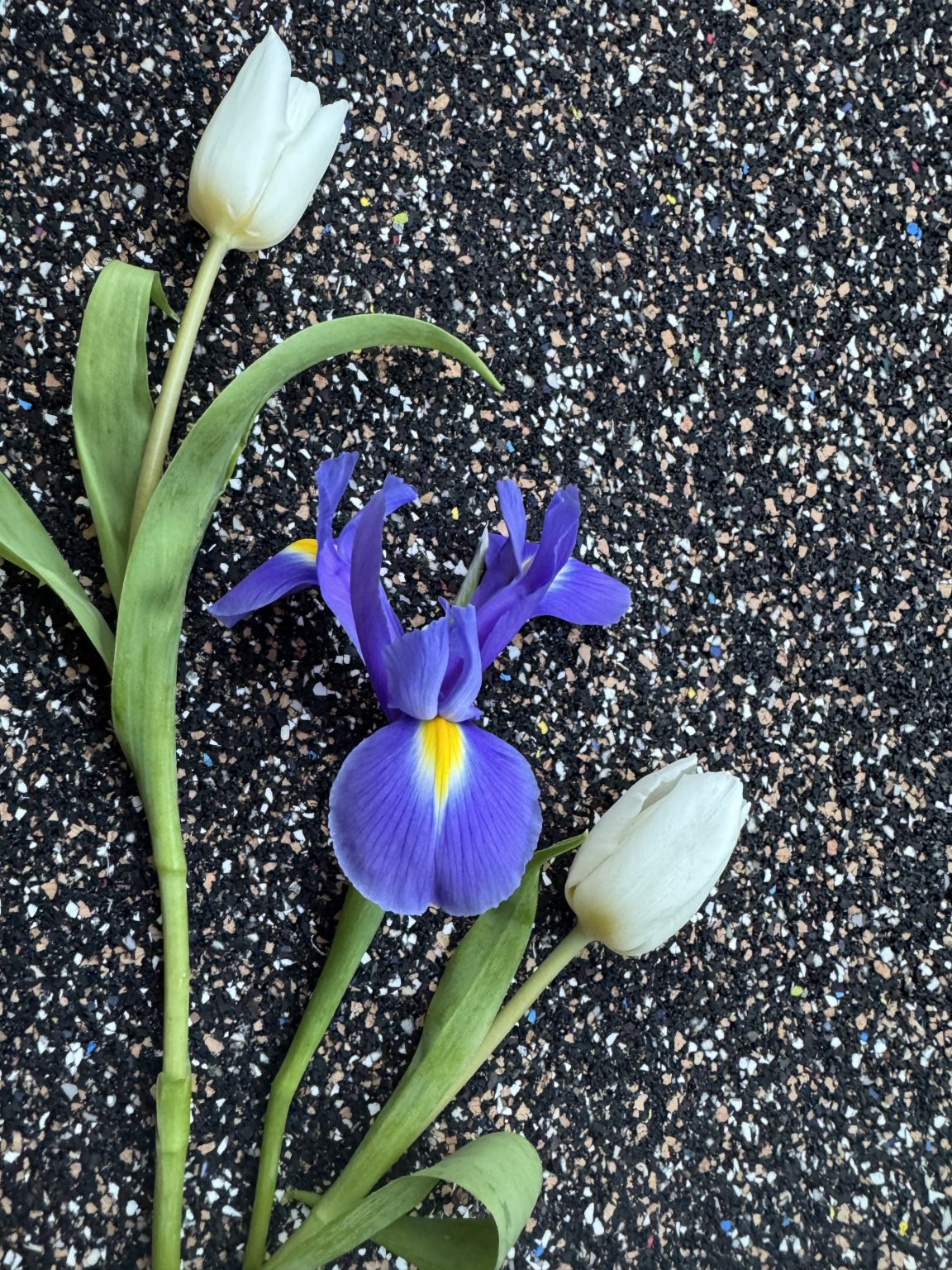 How to lay a resin garden path using Vuba resin-bound gravel DIY kits ...